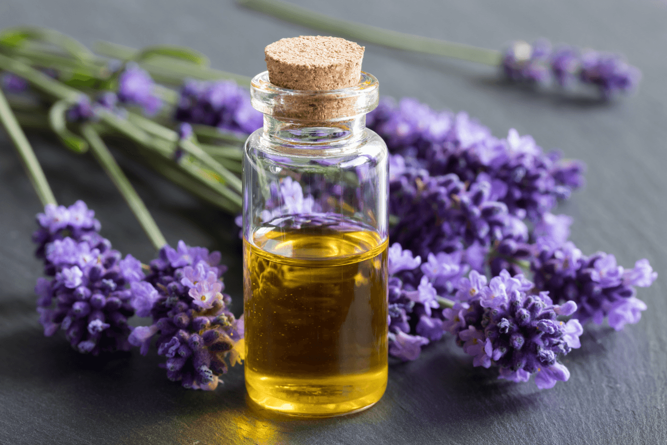 Oils & Incense | Pure Essential Oils & Natural Incense | The Pure Haven ...